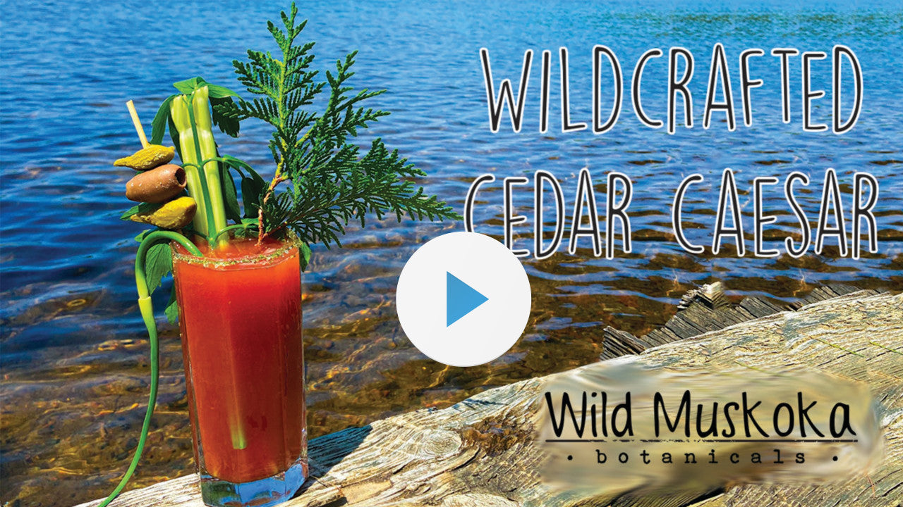 Charred Cedar (Forest Fire) Bitters – Wild Muskoka Botanicals